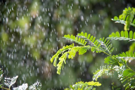 11 Types Of Precipitation To Know For Your Next Outdoor Adventure Facts Photos And More