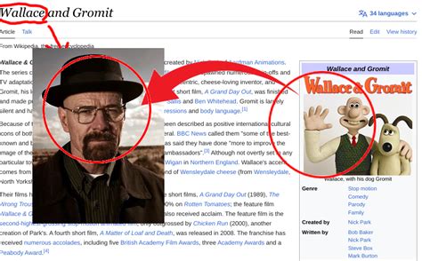 Wallace R TheBronzeJade