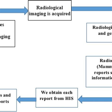 The Workflow Of Dataset Collection Download Scientific Diagram