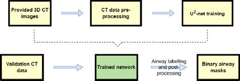 A Ct Based Airway Segmentation Using U2 Net Trained By The Dice Loss Function