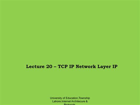 SOLUTION Iap Tcp Ip Network Layer Ip Studypool