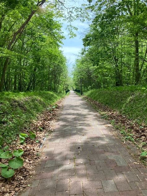 Microsoft「graphrag」とlangchainの知識グラフを活用したragを比較