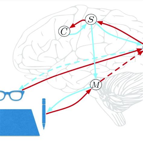 Hierarchical Predictive Belief Update Based On Predictive Processing