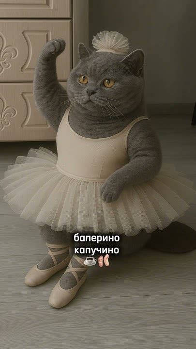 Кот в шоке нейросеть кот нейросети Funny Trending котики Lifestyle жизнь Youtube