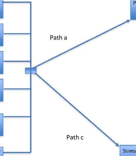 Conceptual Model And Relationships Between Variables Download