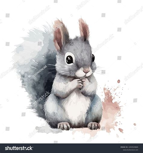 763 Cute Gray Squirrel Drawing Royalty Free Photos And Stock Images