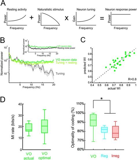 Figures And Data In Neuronal Variability And Tuning Are Balanced To Optimize Naturalistic Self