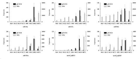 Quantitative Real Time Pcr Qrt Pcr Validation Of Differentially