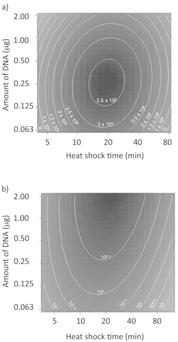 Response Surface Method Rsm Plots To Predict The Best Transformation