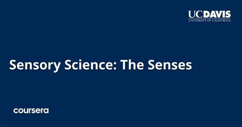 Sensory Science The Senses Coursera