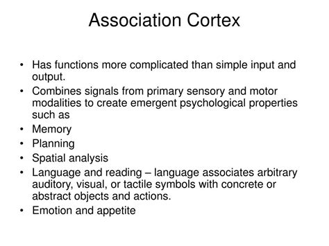 Ppt Association Cortex Asymmetries And Cortical Localization Of