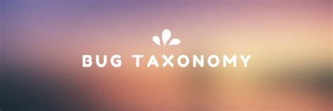 Bug Taxonomy Streamlining Knowledge Sharing In… By Olha Holota From