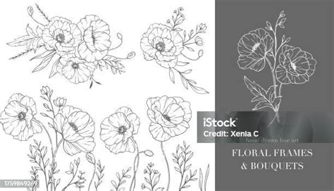 양귀비 꽃 라인 아트입니다 꽃 프레임과 꽃다발 라인 아트 미세한 선 양 귀 비 프레임 손으로 그린 그림입니다 손으로 그린 윤곽선