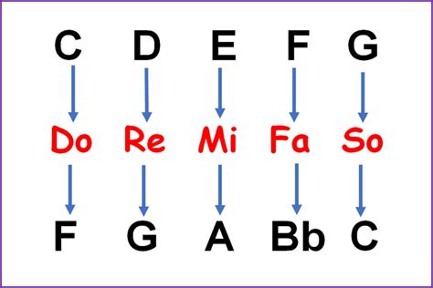 Comprehensive Transposition Examples Across Music And Math
