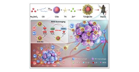 Multifunctional Selenium Based Metal Polyphenol Nanoparticles Impede The Pathological Cross Talk