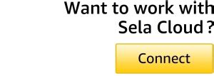 How Sela Builds Low Latency Serverless Control Planes For Hybrid Tenant