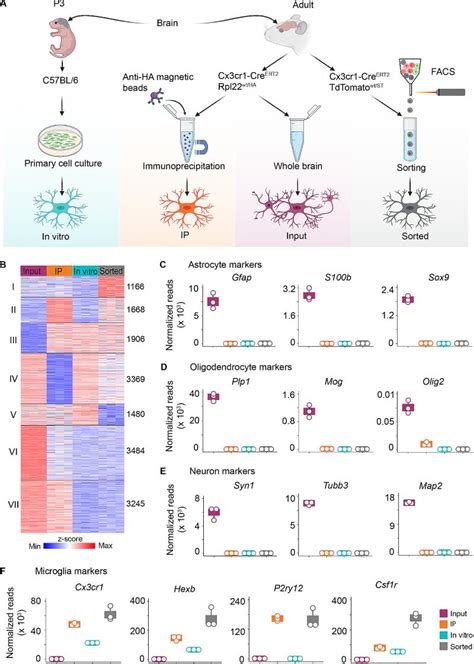 Felix Mulenge On Linkedin Transcriptomic Analysis Unveils Bona Fide
