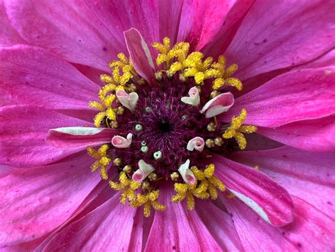 Master Data Analysis Using Trustworthy Databases Level Up Coding