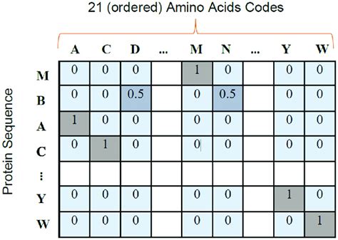 A Sequence As A Matrix Representation Of A Sequence As A Matrix 2d