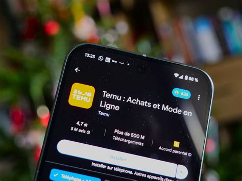 Les Experts Ont Enfin Compris Comment Temu Protège Vos Données Et Ce N