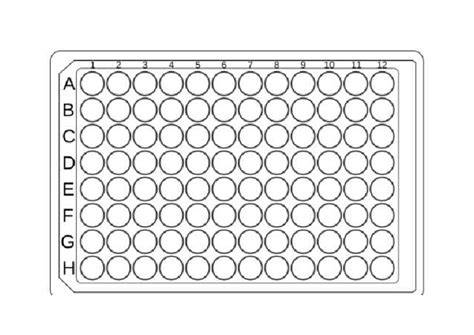 96 Well Plate Pdf