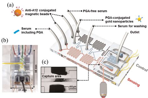 Figure 2 From Recent Advances In Microfluidic Sample Preparation And Separation Techniques For