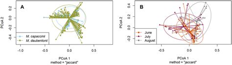 Principal Coordinates Analysis Pcoa Graphic Representation Using