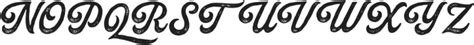 Palmer Script Aged Regular Otf 400 Font Script Vintage What Font Is