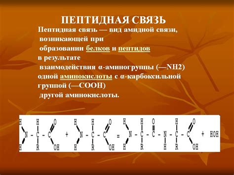 Белки - Презентации по биологии