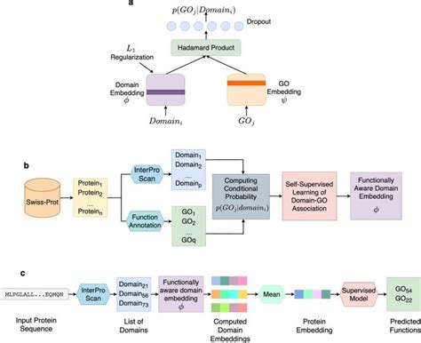Xavier Berthet On Linkedin Domain Pfp Allows Protein Function Prediction Using Function Aware