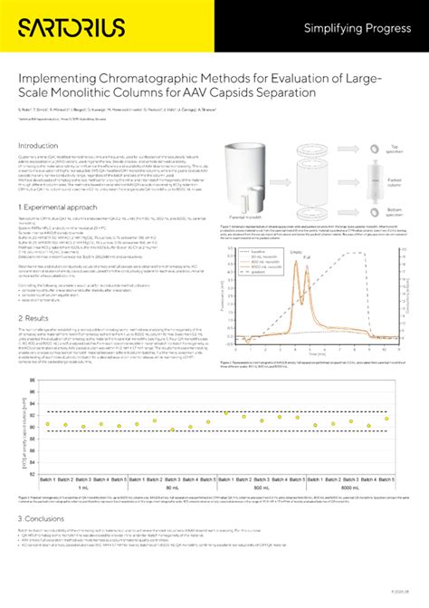 Implementing Chromatographic Methods For Evaluation Of Large Scale Monolithic Columns For Aav