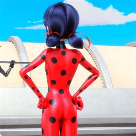 Ladybug And Cat Noir Cartoon Characters