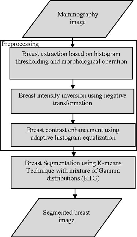 Figure From Breast Segmentation Using K Means Algorithm With A Mixture Of Gamma Distributions