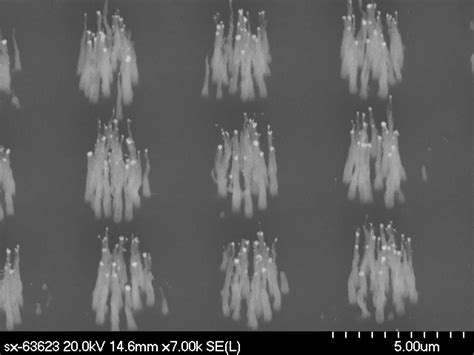random data vertically aligned carbon nanofibers