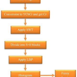 Conceptual Description Of Algorithm 1 Download Scientific Diagram