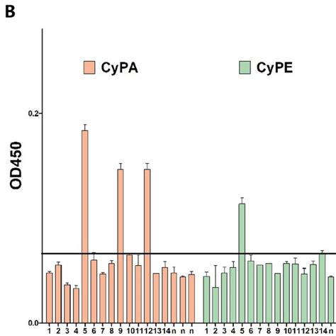Expression And Ige Activities Of Cyps A Sds Page Analysis Of The Download Scientific Diagram