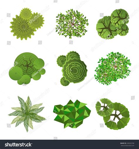 Trees Top View For Landscape Design Use In Your Royalty Free Stock
