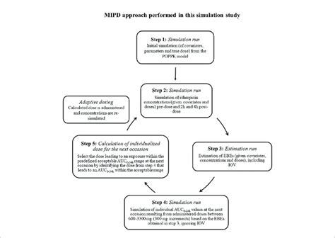 workflow of the model informed precision dosing mipd approach