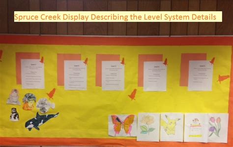 Level Systems Biancas Teacher Tips