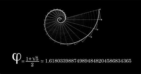Mind Blowing Fibonacci Facts Album On Imgur