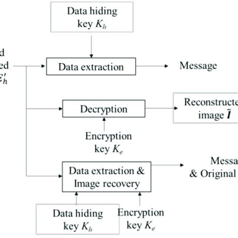 Overview Of The Decoding Phase Download Scientific Diagram