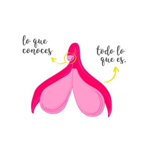 Descubre Más Sobre El Clítoris Cuore