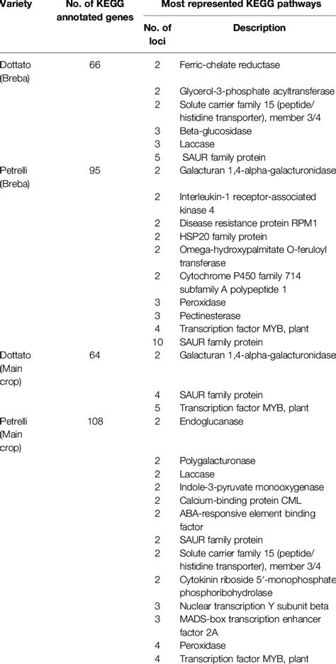 Comparative Analysis Of Differentially Expressed Genes Between The Two Download Scientific