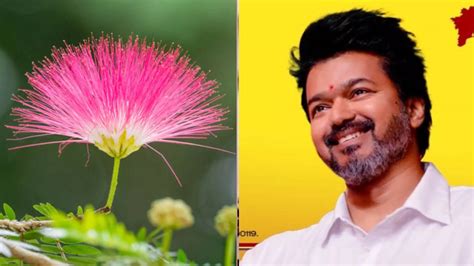 Tvk Vijay Times Now Tamil