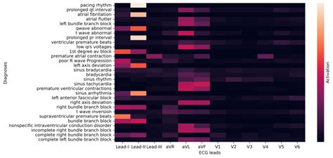 Aggregated Results From The Class Activation Maps Provided By The Lime Download Scientific