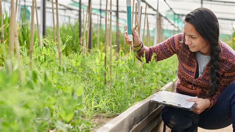 Food Service Providers Drive Sustainable Food Sodexo Canada