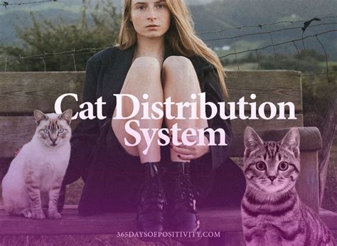 The Cat Distribution System Is Real And Youre Probably Part Of It