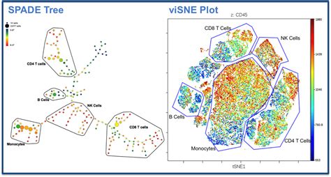 coffeetime science the problem with analyzing large complex datasets