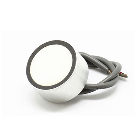 175khz High Frequency Ultrasonic Transducers With Msw A Manorshi