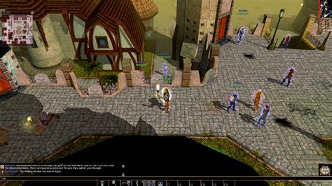 Neverwinter Nights Enhanced Edition Wizard Elf Rillyteacher